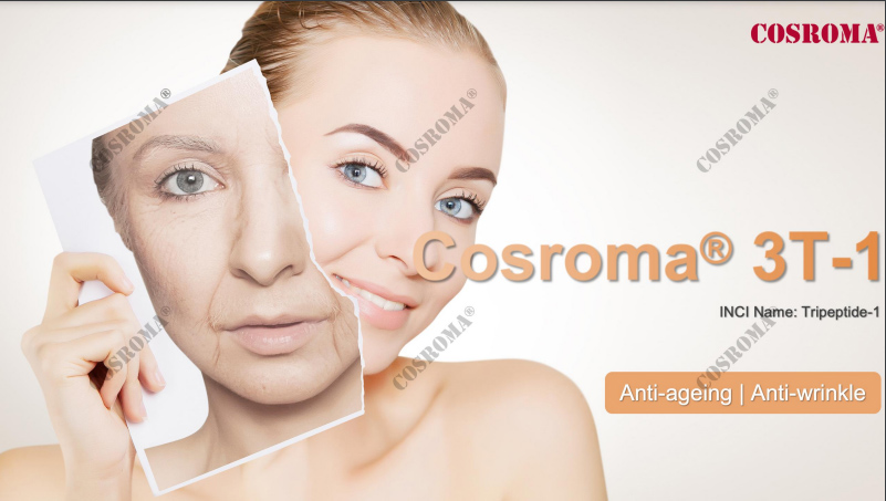 Cosroma® 3T-1 / 트라이펩타이드-1 / Tripeptide-1 > 펩타이드 Cosroma® Peptide Series | 에코텍아이앤씨